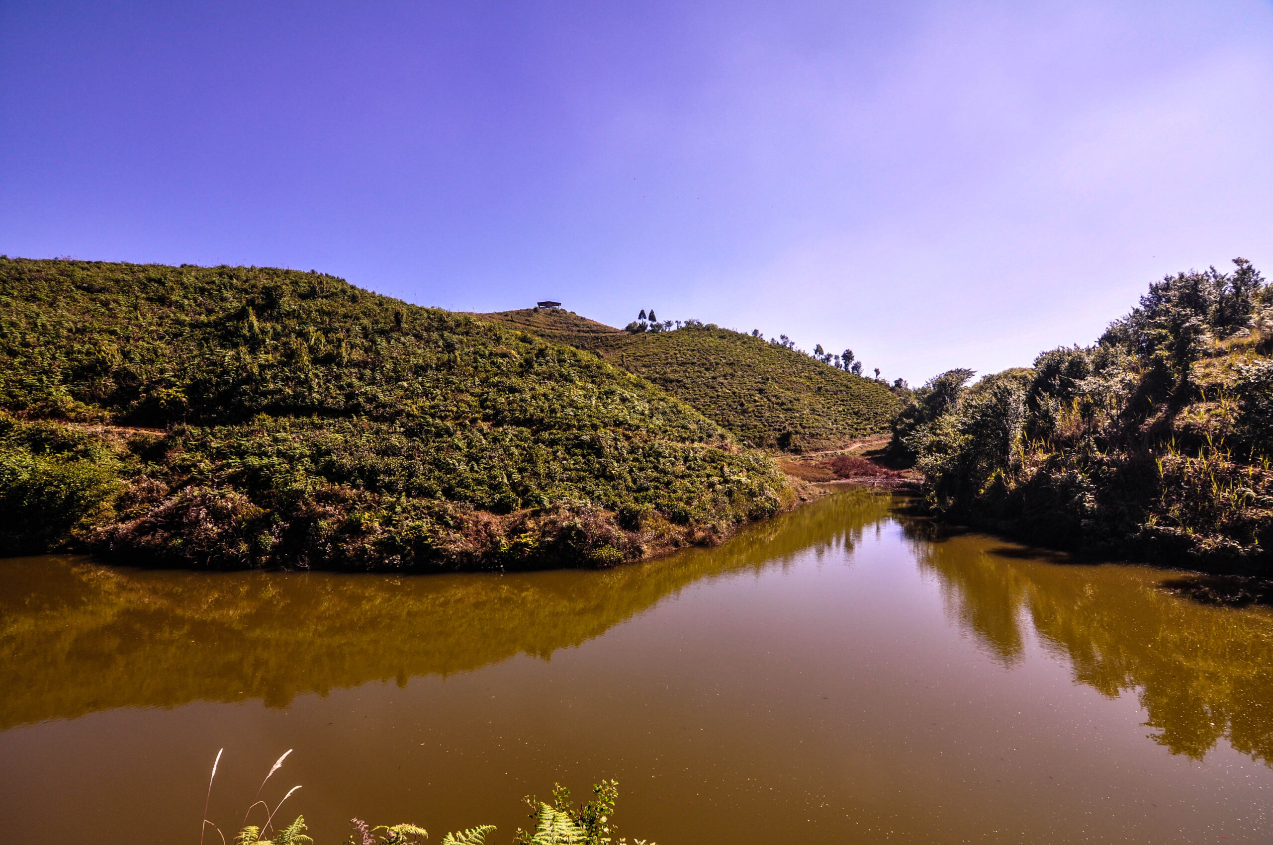 Unveiling Gufa Thumki: A Hidden Surprise in Ilam, Nepal