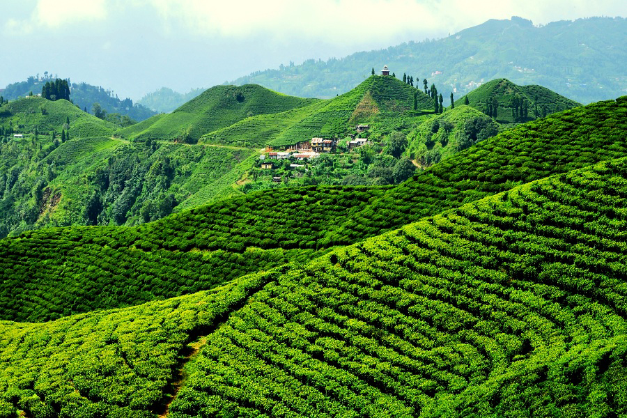 Beautiful Panitar – The Most visited New place of Ilam - Explore’s Hub